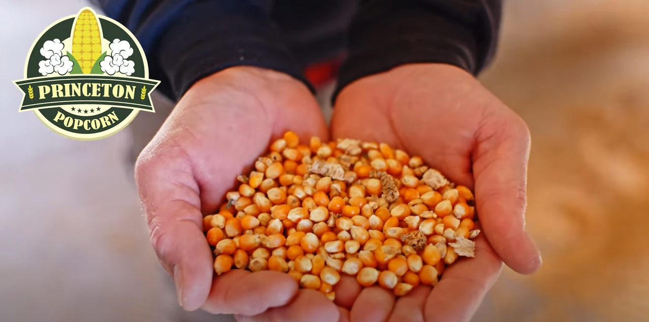 Farmer Bob's Princeton Popcorn Mushroom Popcorn Kernels Whole Grains ...